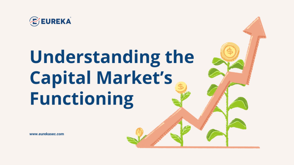 Understanding the Capital Market's Functioning - EuBlogs